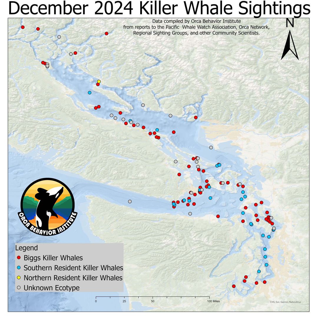 Orca Sightings Maps | Orca Behavior Institute
